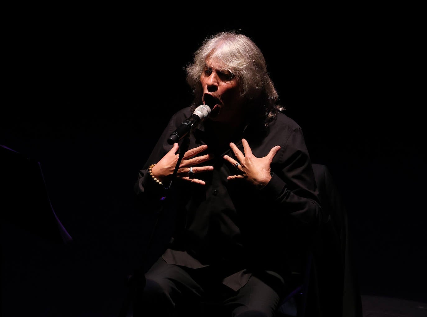 Fotos: Concierto de José Mercé en Valladolid | El Norte de Castilla