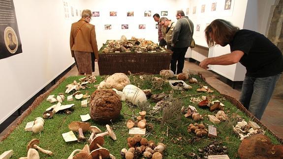 Segovia supera su 'micofobia' | El Norte de Castilla