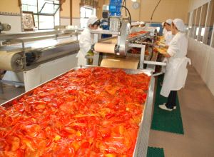 Un millón de botes | El Norte de Castilla